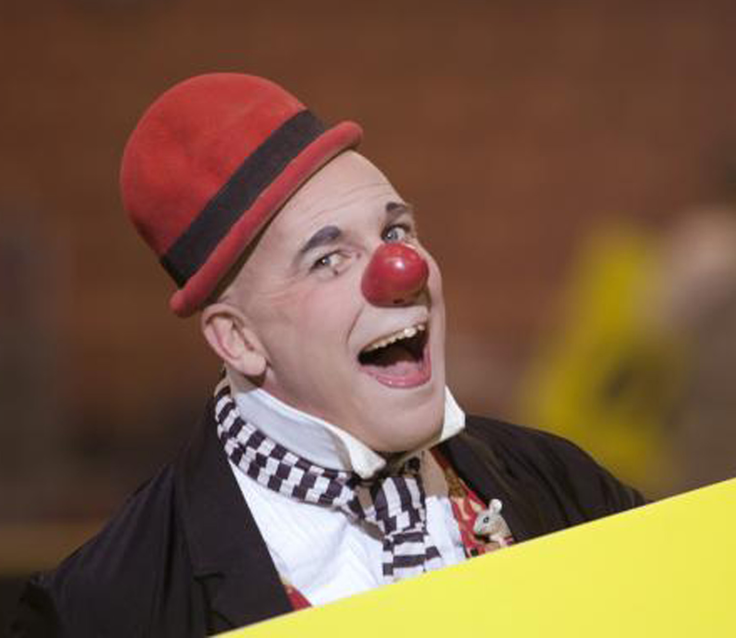 Anita Swoboda's Instagram, Twitter & Facebook on IDCrawl