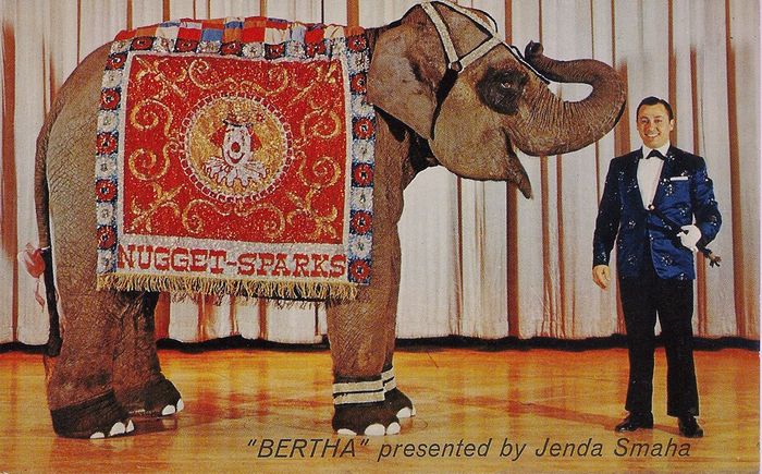 Jenda Smaha - Circopedia