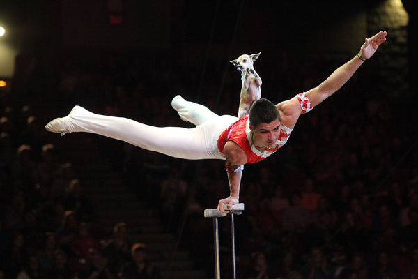 Christian Stoinev - Circopedia