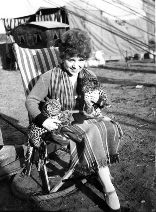 The Codonas - Circopedia