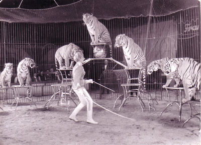 Gunther Gebel-Williams - Circopedia