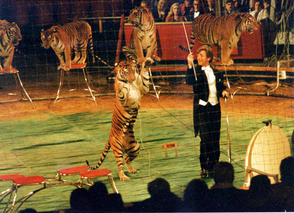 Nikolai Pavlenko - Circopedia