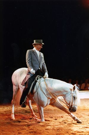 The Knie Dynasty - Circopedia