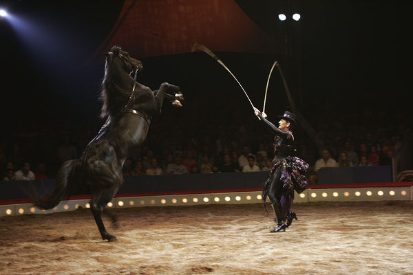 Yasmine Smart - Circopedia