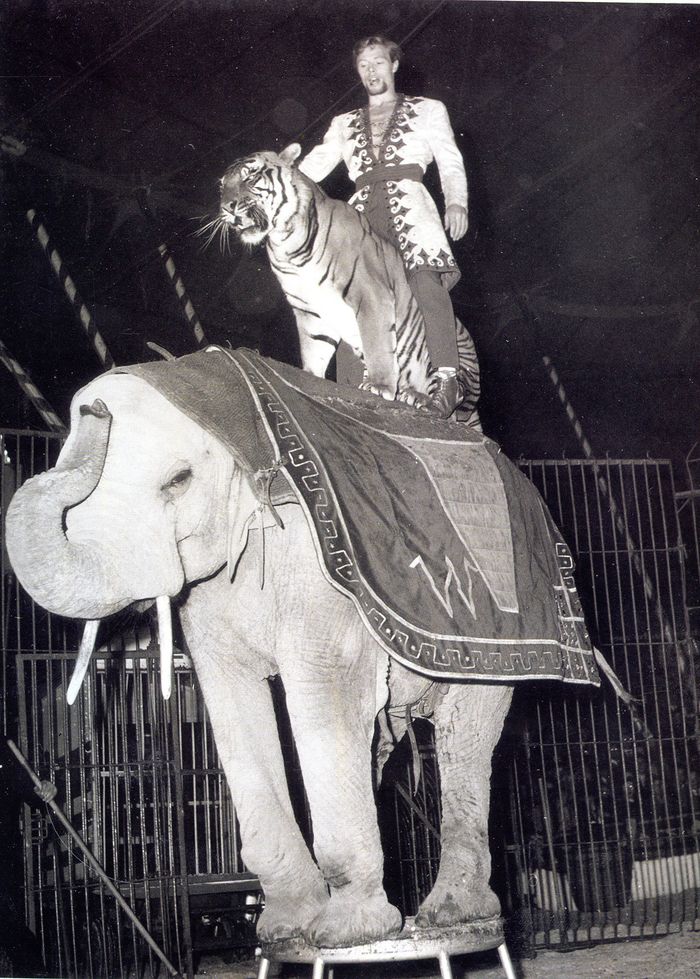 Gunther Gebel-Williams - Circopedia