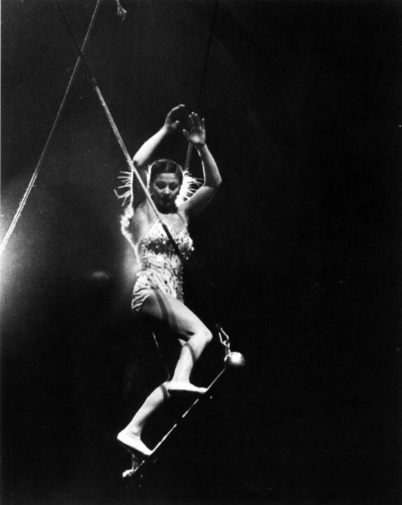 Pinito del Oro - Circopedia