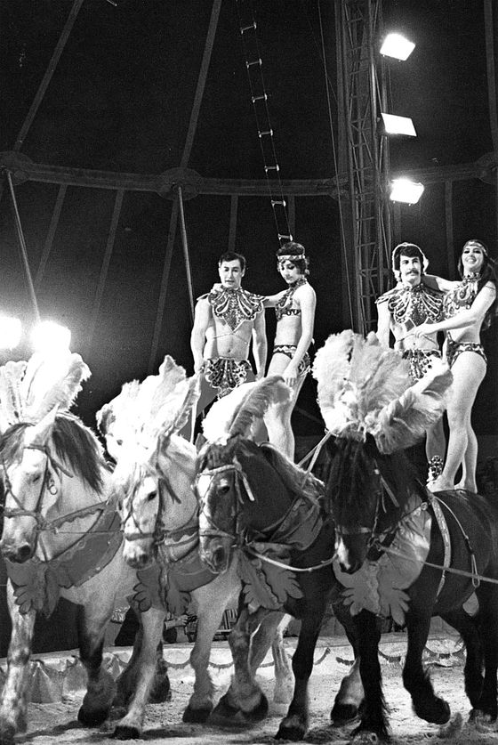 The Togni Family - Circopedia