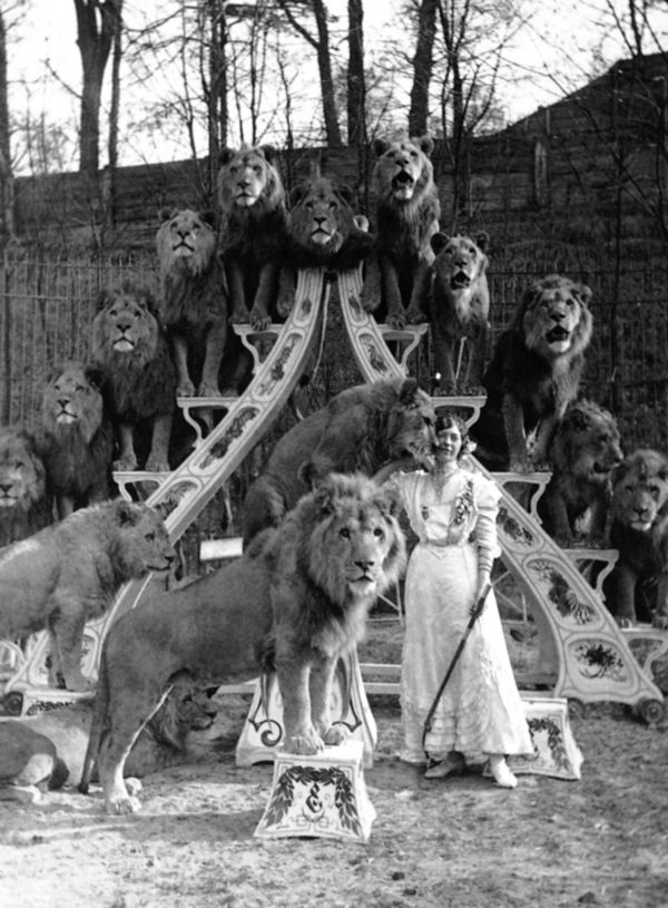 Circus Krone - Circopedia