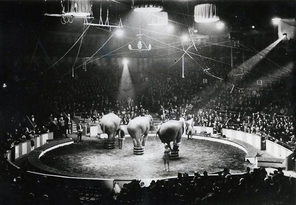 Bertram Mills - Circopedia